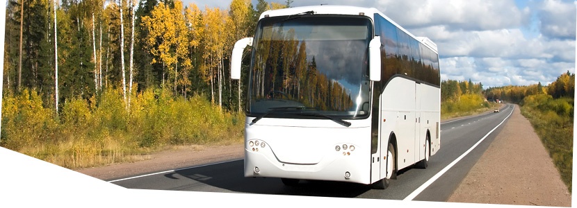 D / D1 Ergänzung zu Führerschein B mit Berufskraftfahrer ...